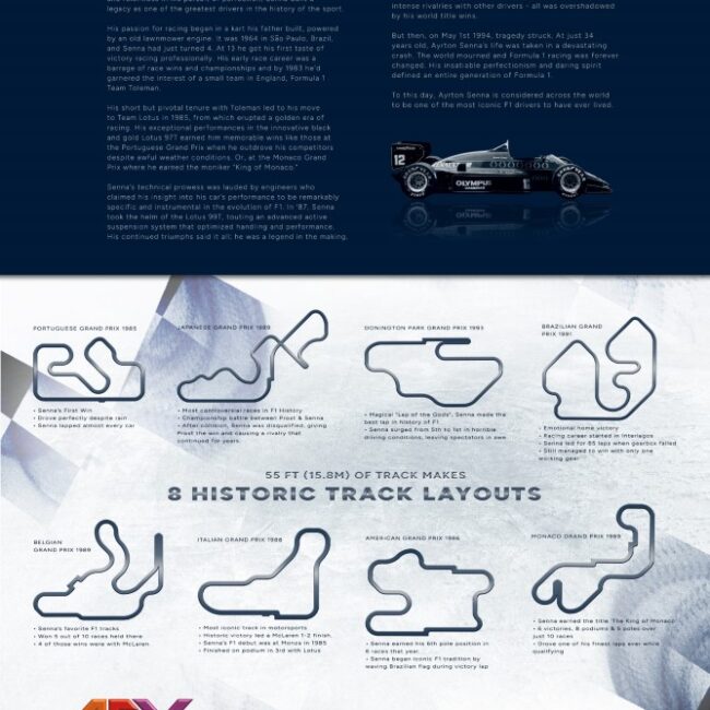 Senna Limited Edition | AFX Racing